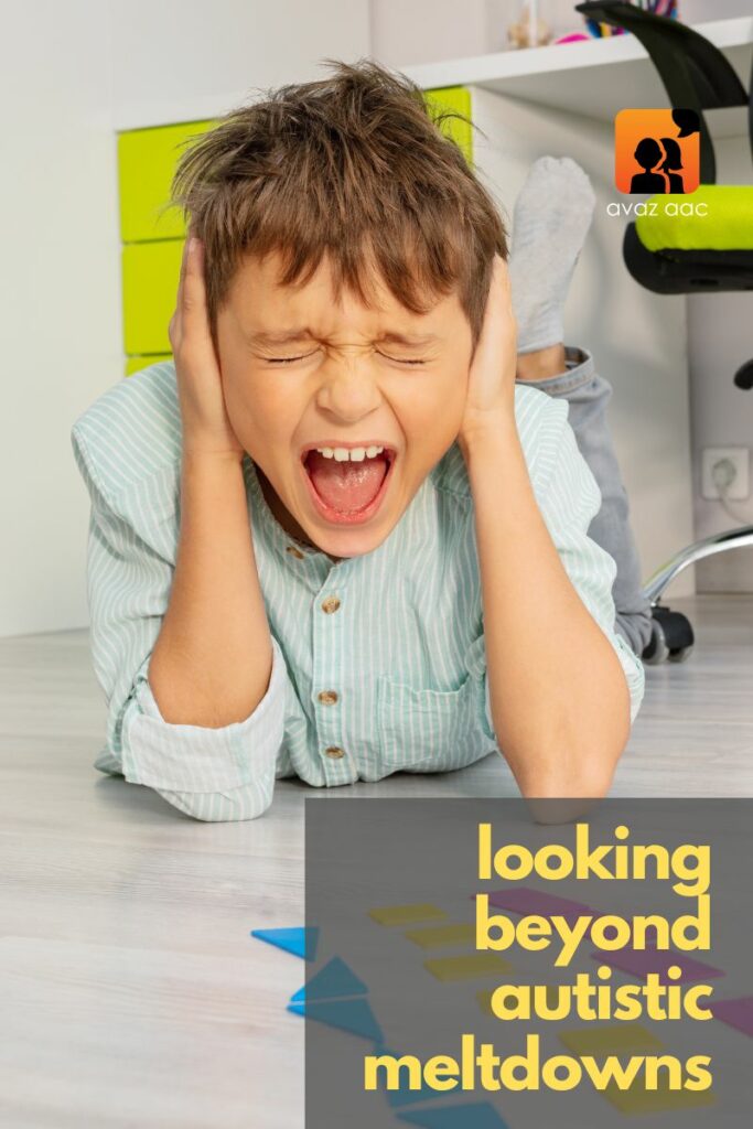 Looking Beyond an Autistic Meltdown - Avaz Inc.